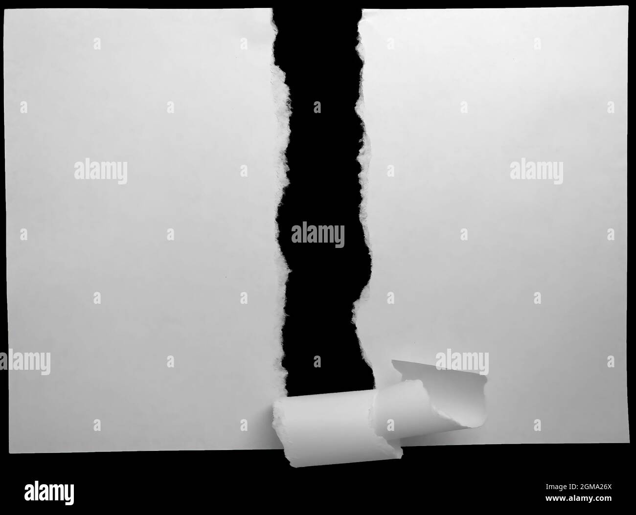 A narrow strip of white paper torn out by hands - for your creative ...