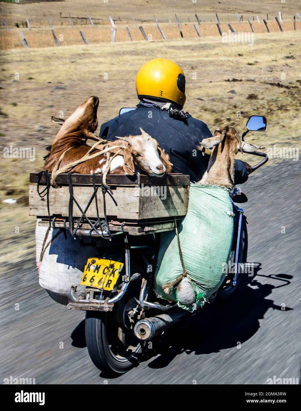 Animals in kenya hi-res stock photography and images - Alamy