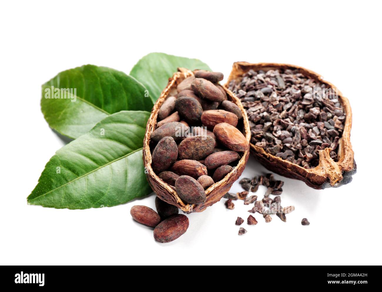 Halves of ripe cocoa pod with beans and nibs on white background Stock ...