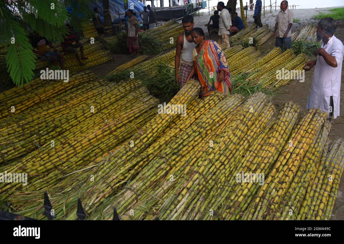 Daily life assam 2 jpg hi-res stock photography and images - Alamy