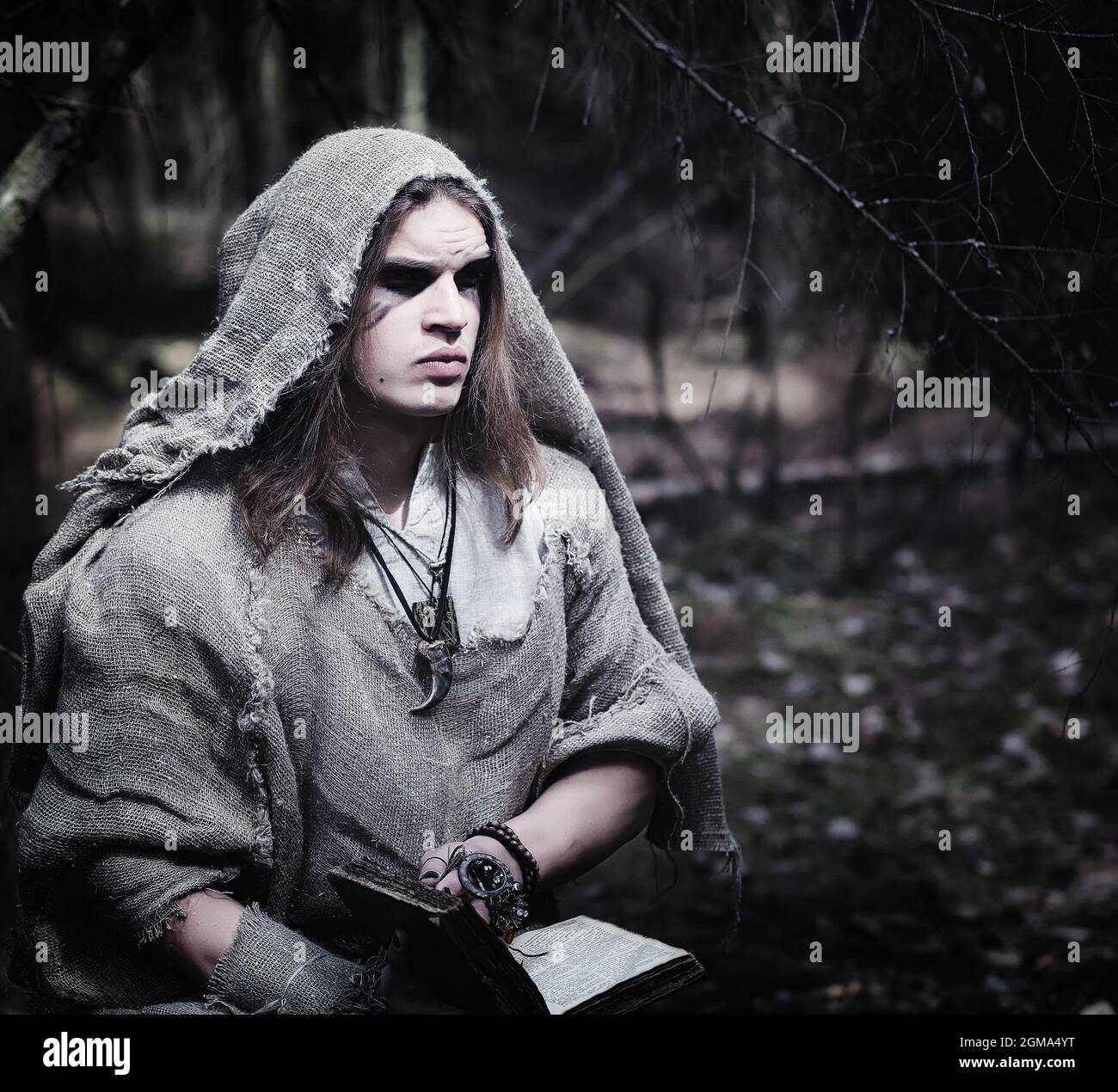 Fairy magician. A sorcerer with a glass sphere, a magical spell and a ...