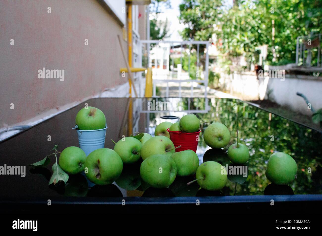 table of green apples with colored buckets. red and blue bucket full of ...