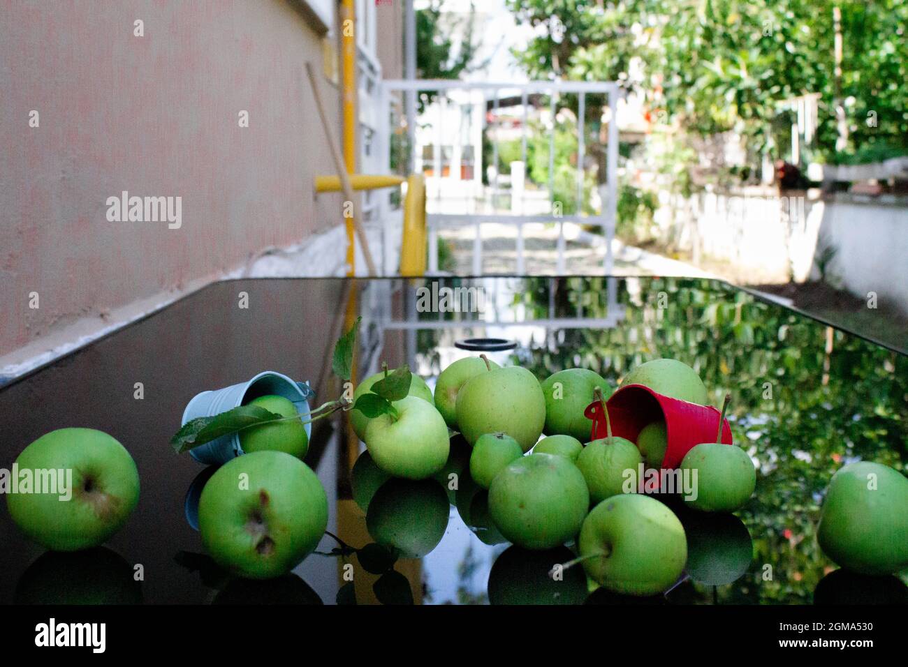 table of green apples with colored buckets. red and blue bucket full of ...