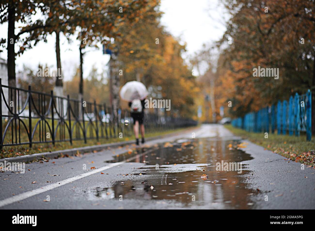 Autumn rain in the park during the day Stock Photo - Alamy