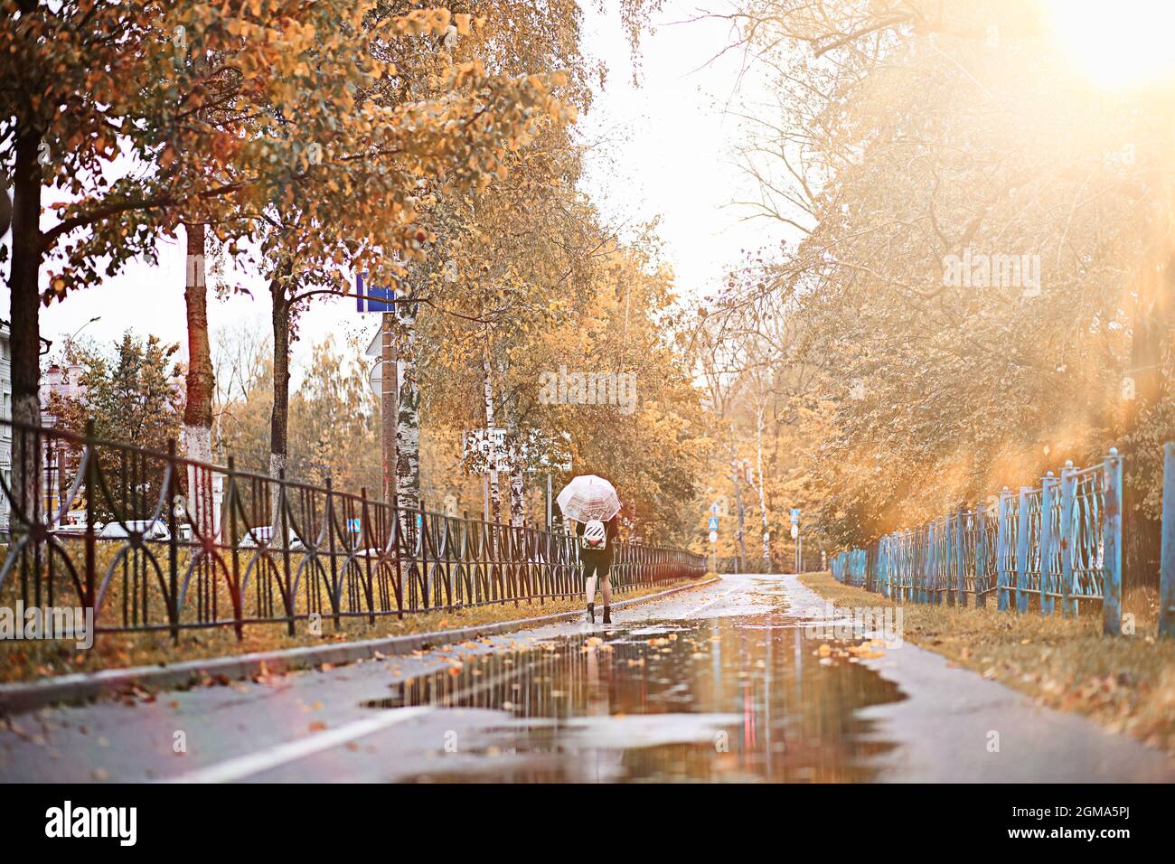 Autumn rain in the park during the day Stock Photo - Alamy