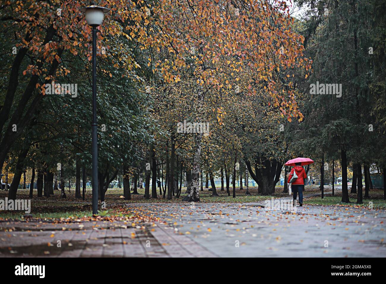 Autumn rain in the park during the day Stock Photo - Alamy