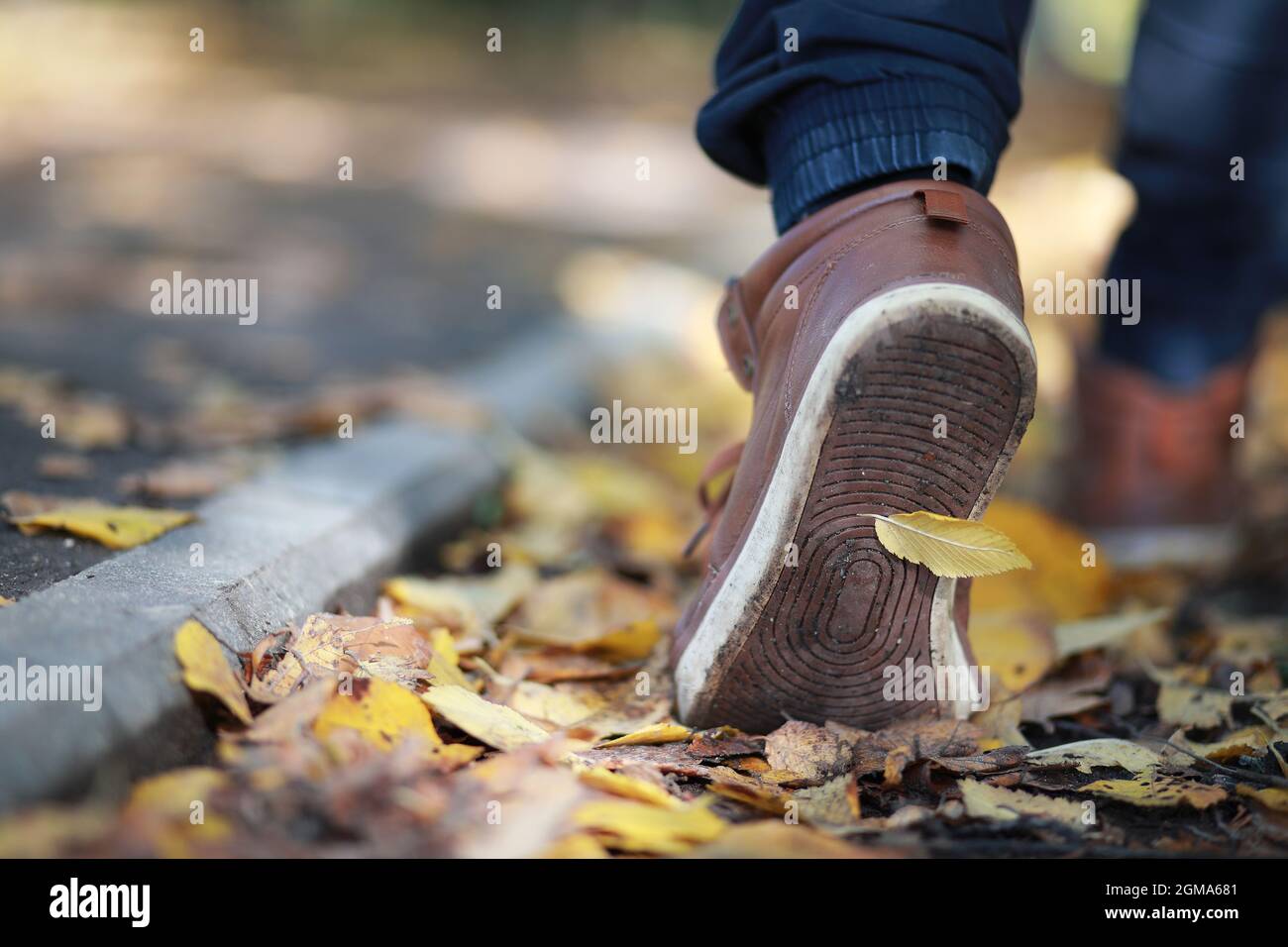 Autumn Park man walking along a path foliage Stock Photo - Alamy