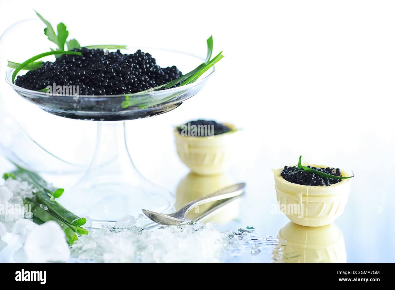 Fresh black fish roe. Beluga caviar served with ice with green Stock ...