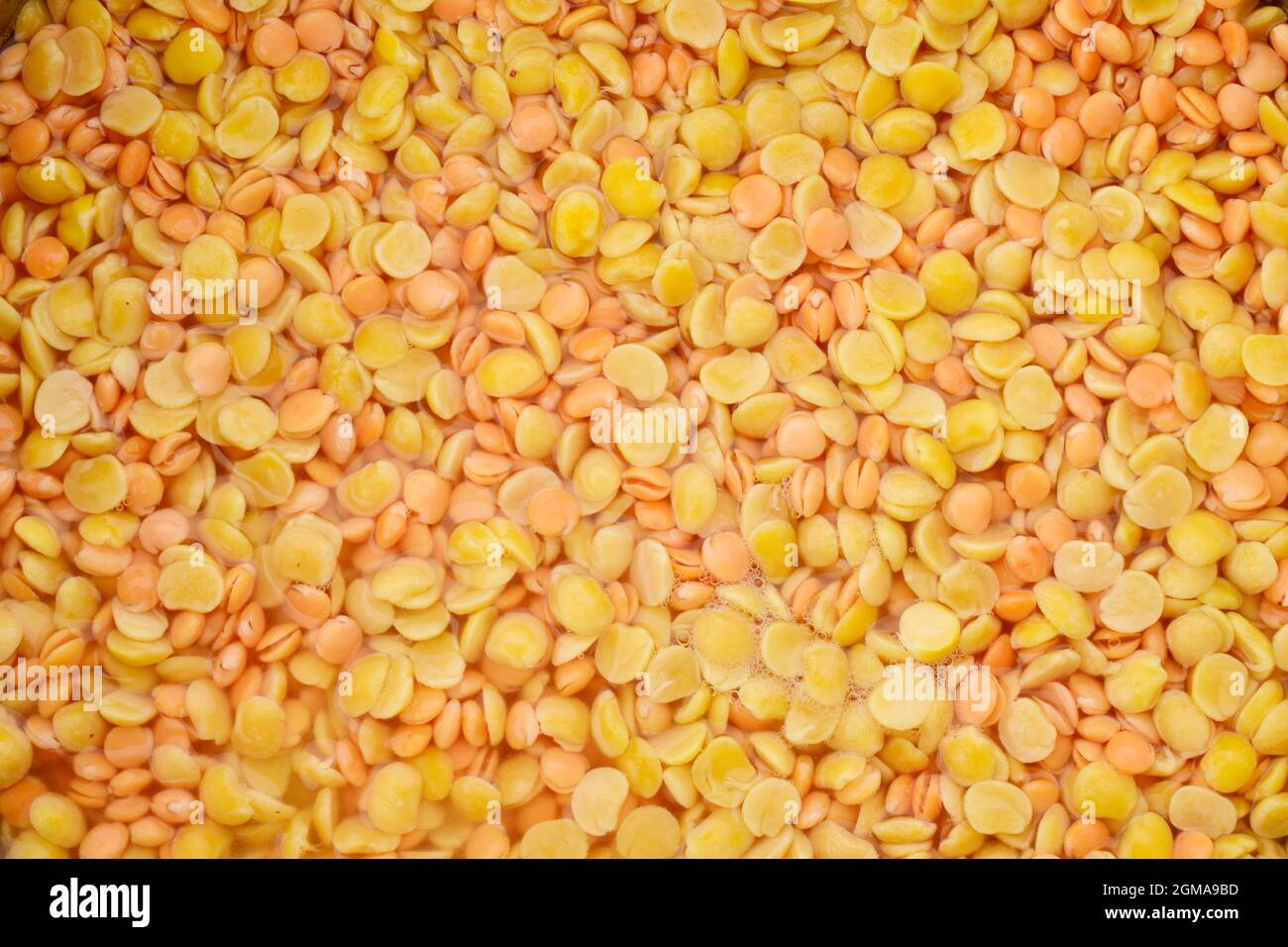 Famous Indian arhar and makla pulses in water, background, close-up ...
