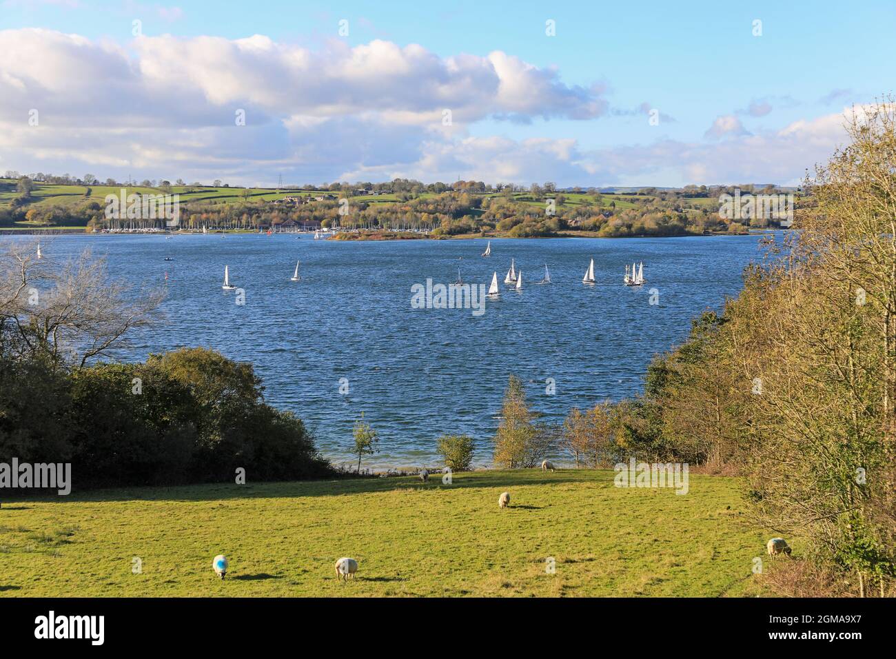 sailing-boats-and-yachts-on-carsington-water-reservoir-carsington