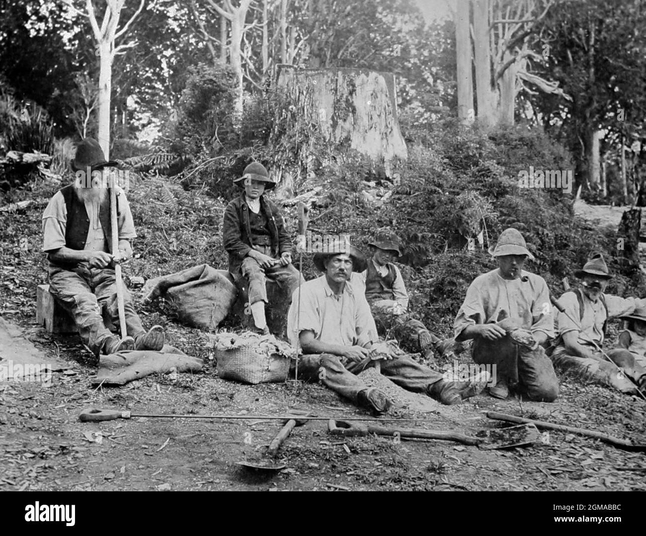 Who Was The First Settlers In New Zealand at Benjamin Irwin blog