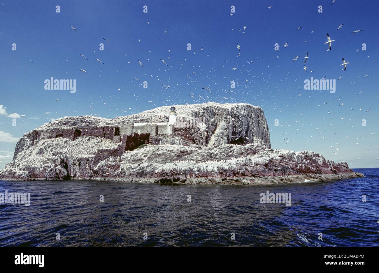 Bass rock lighthouse and prison off east coast of scotland hi-res stock ...