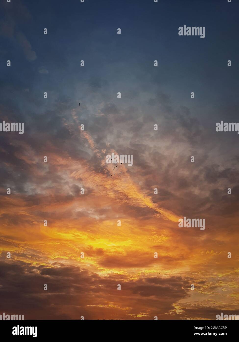Autumn sunset sky. Vertical background, different colored and shaped ...