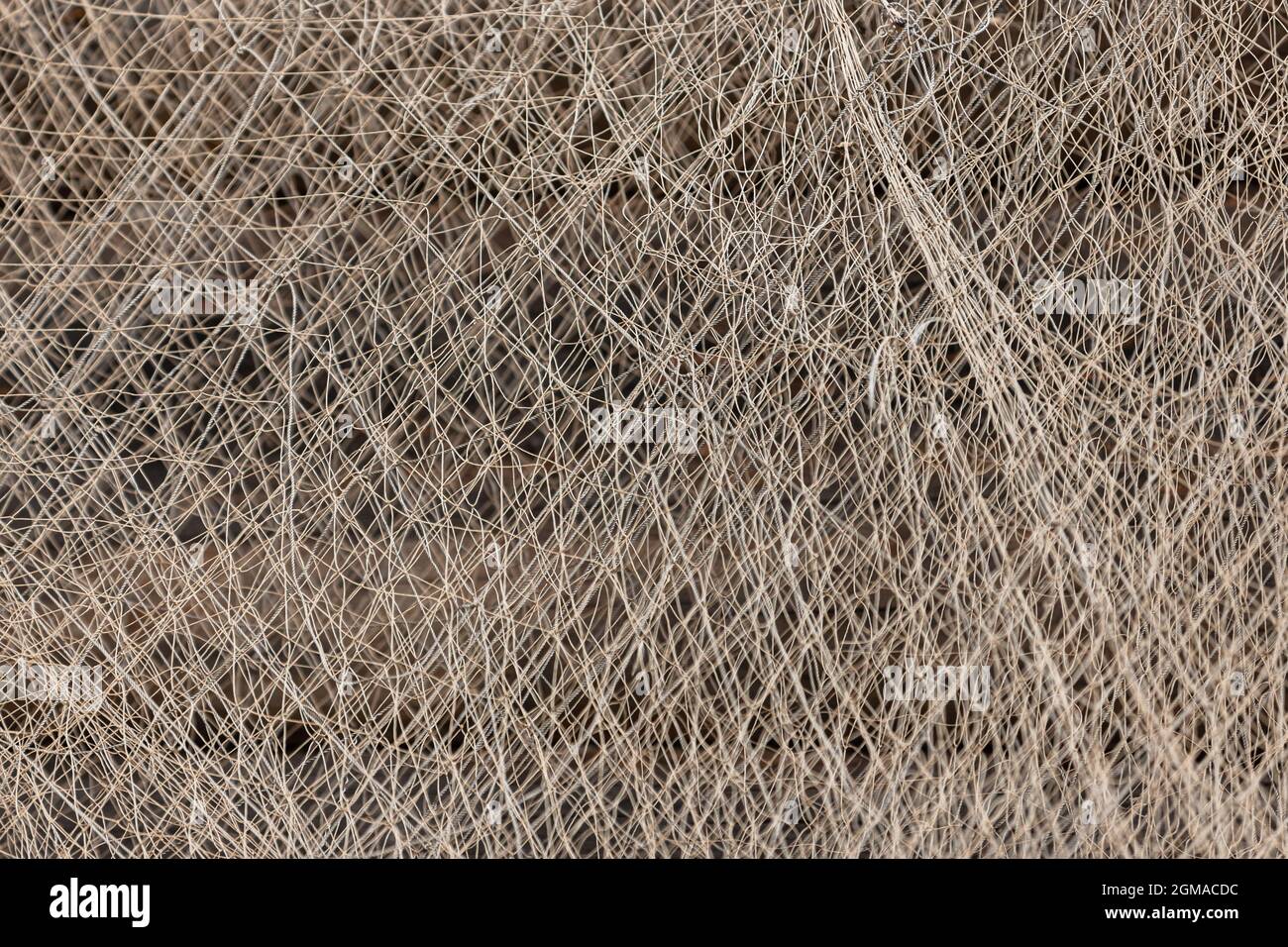 Netting texture hi-res stock photography and images - Alamy