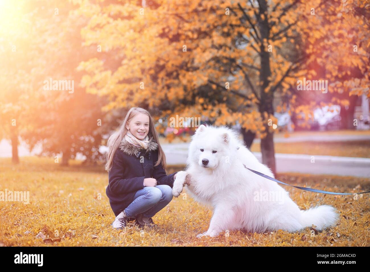 Lovely girl on a walk with a beautiful dog in a park outdoor Stock ...