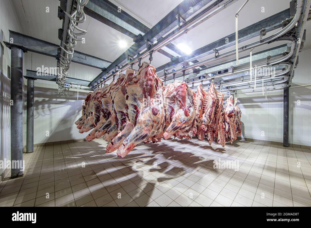 Carcass freezer hi-res stock photography and images - Alamy