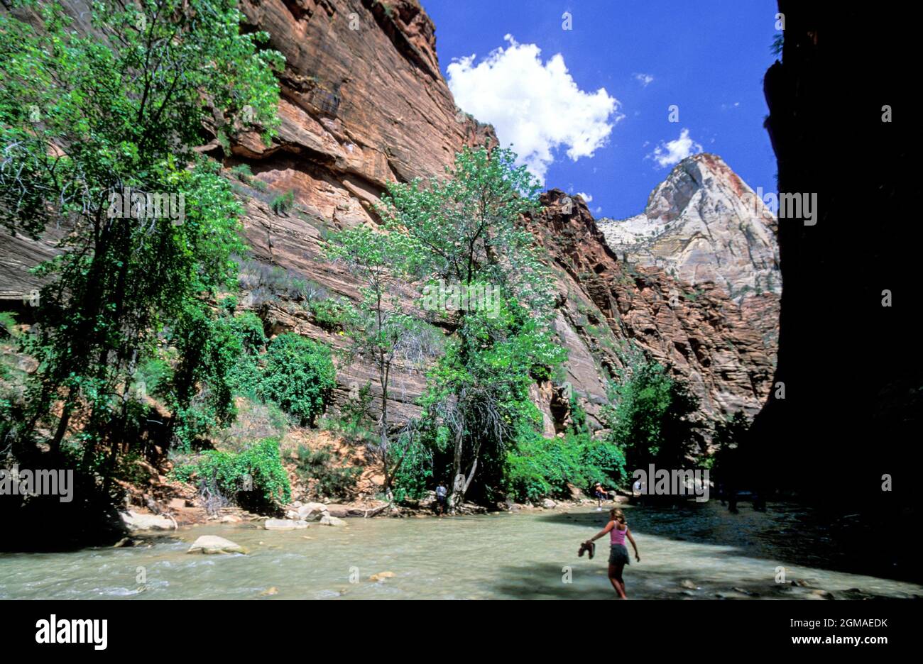 The Subway, Zion National Park, Utah, USA Stock Photo - Alamy