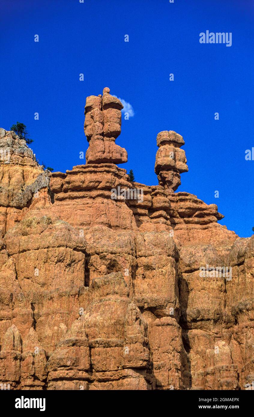 Red Canyon, Utah, USA Stock Photo - Alamy
