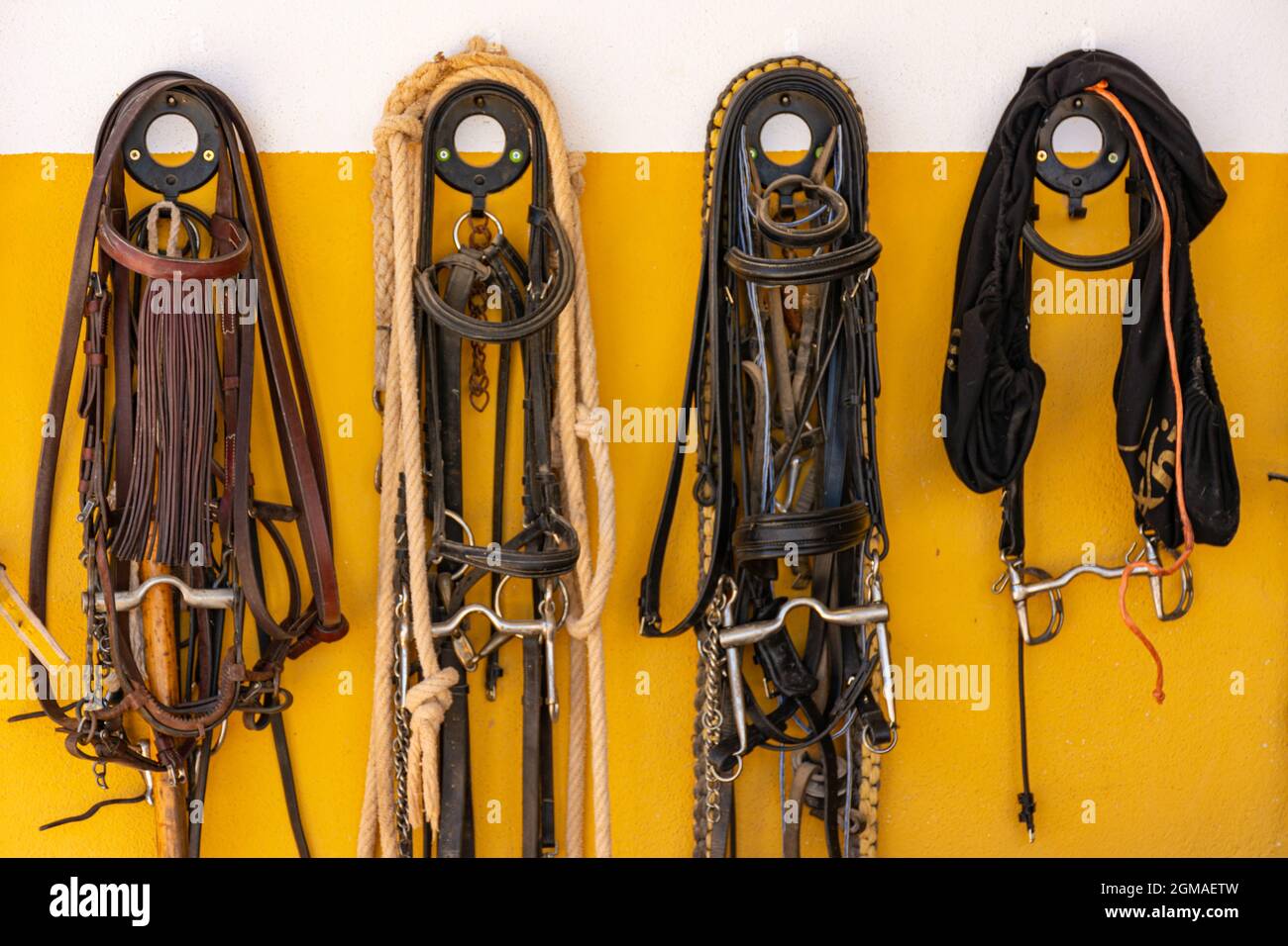 Equestrian tool hi-res stock photography and images - Alamy