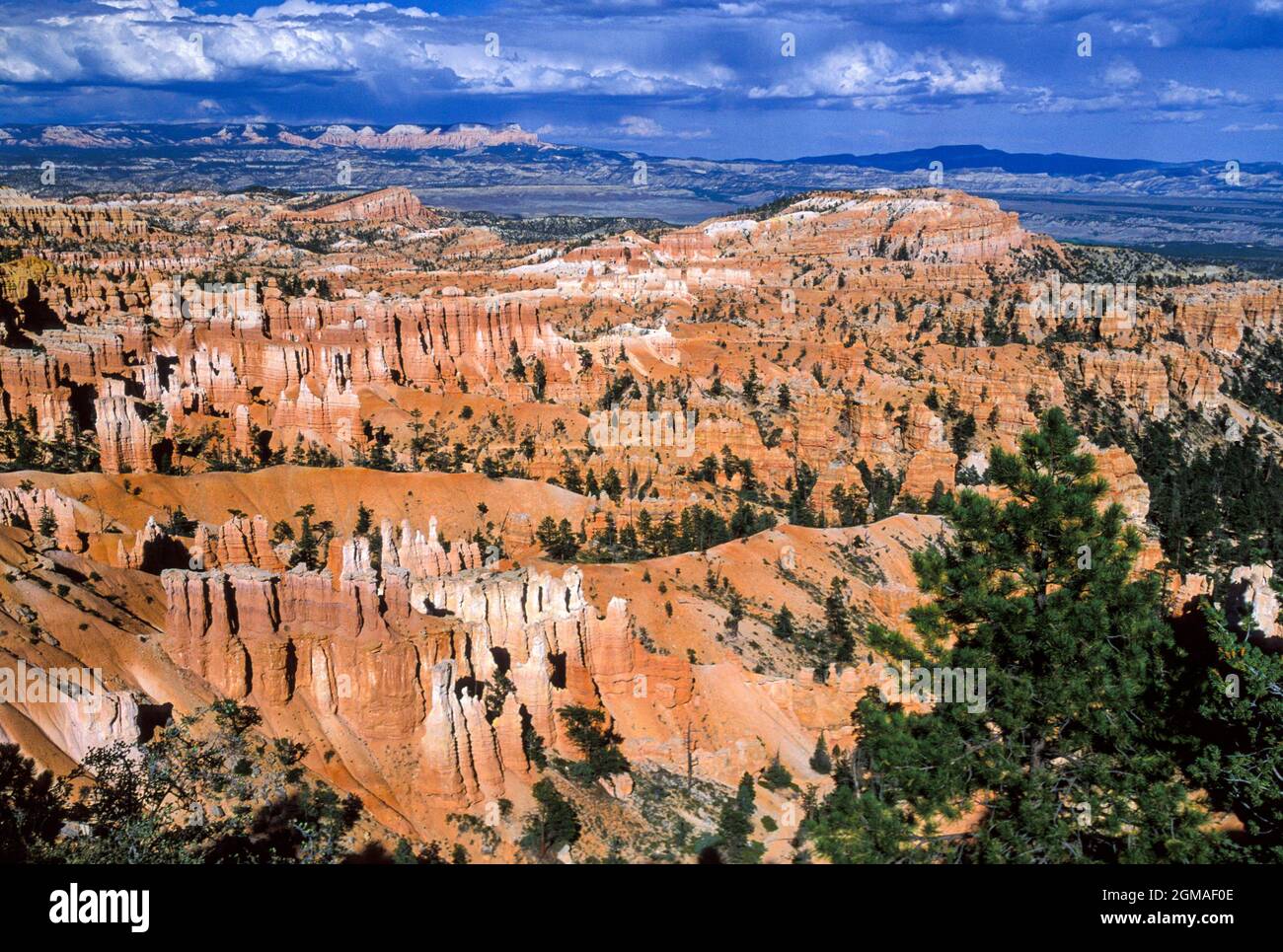 Bryce Amphitheater from Sunrise Point, Bryce Canyon National Park, Utah ...
