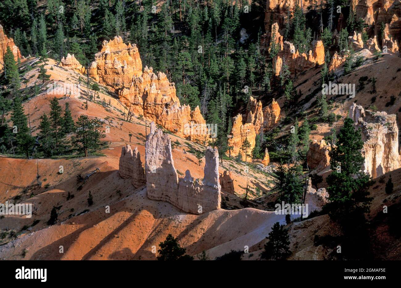 Bryce Amphitheater from Sunrise Point, Bryce Canyon National Park, Utah ...