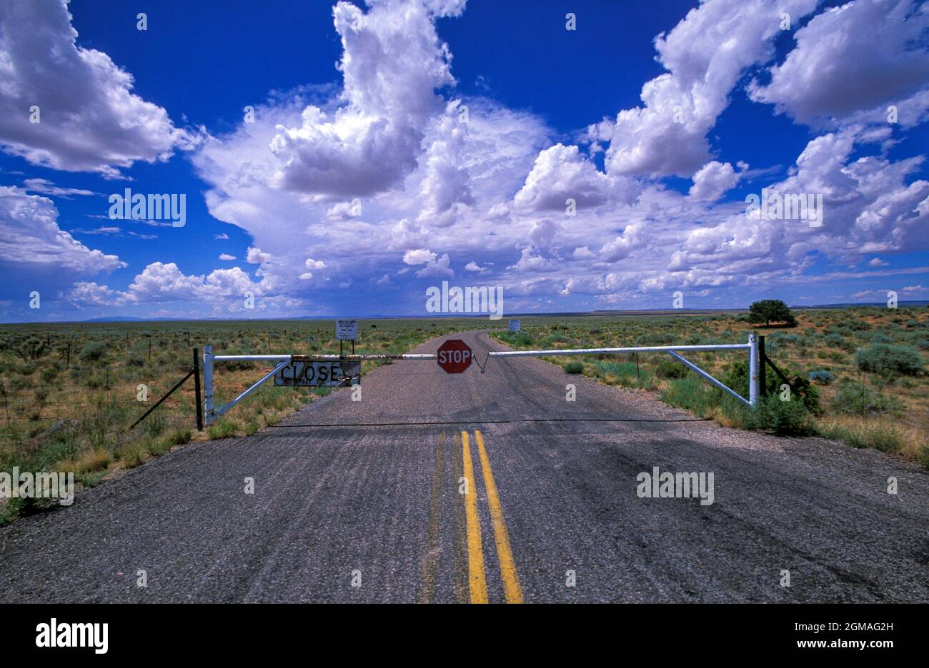 Very few trees hi-res stock photography and images - Alamy