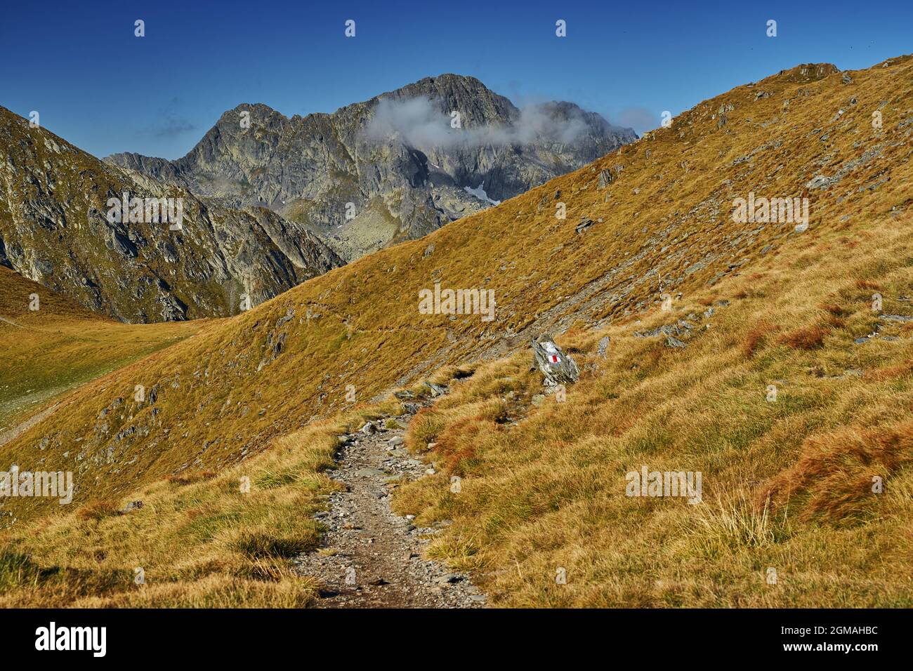 Late summer landscape with Negoiu peak, second highest mountain in ...