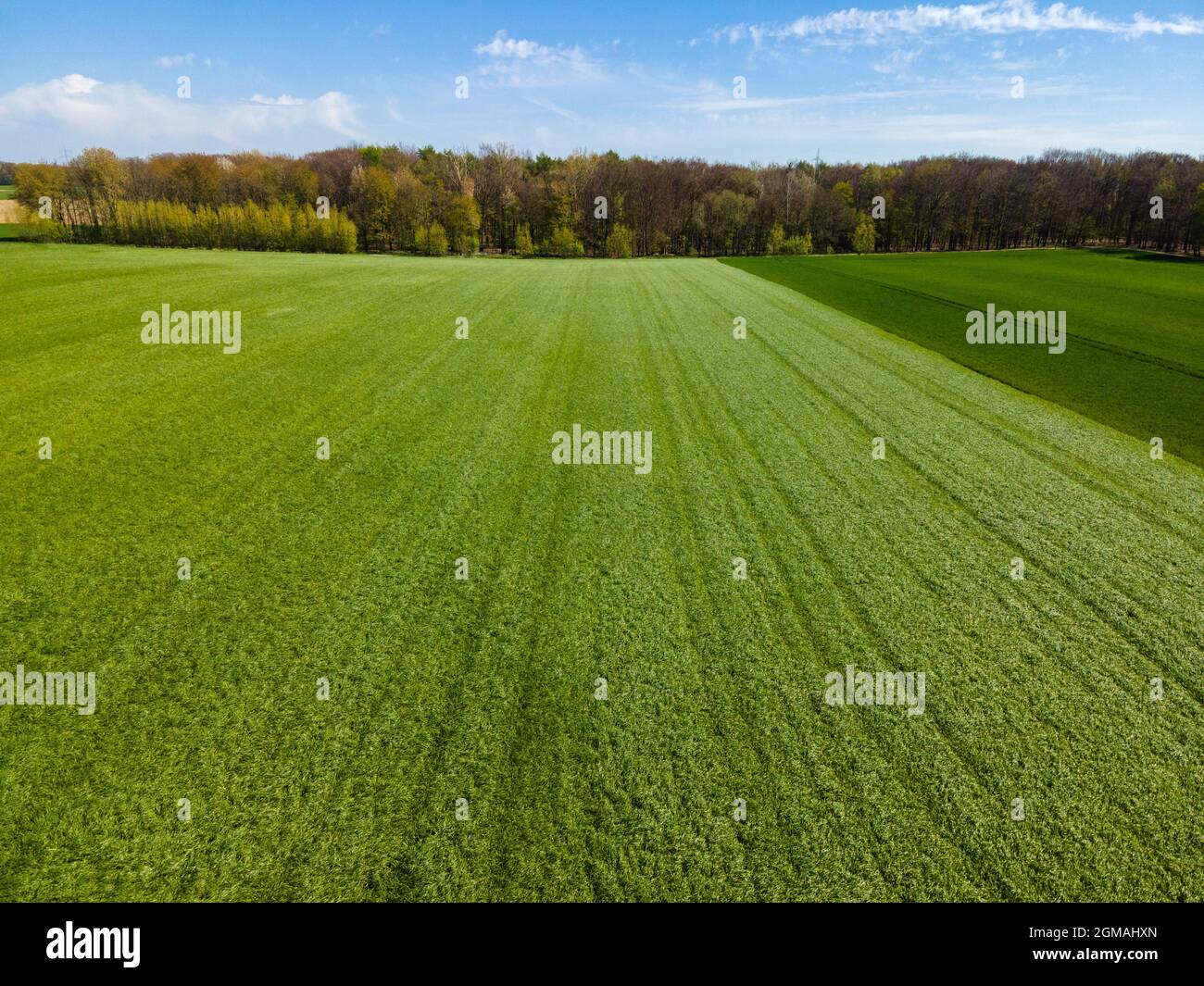 Aerial view of agricultural fields. Fields from above Stock Photo - Alamy