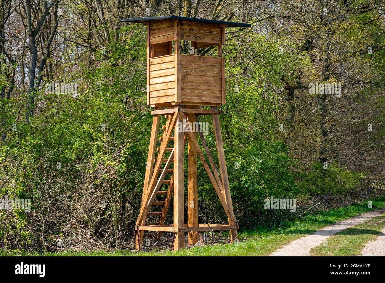 Hunter house in forest. Wooden Hunting Lodge Stock Photo - Alamy