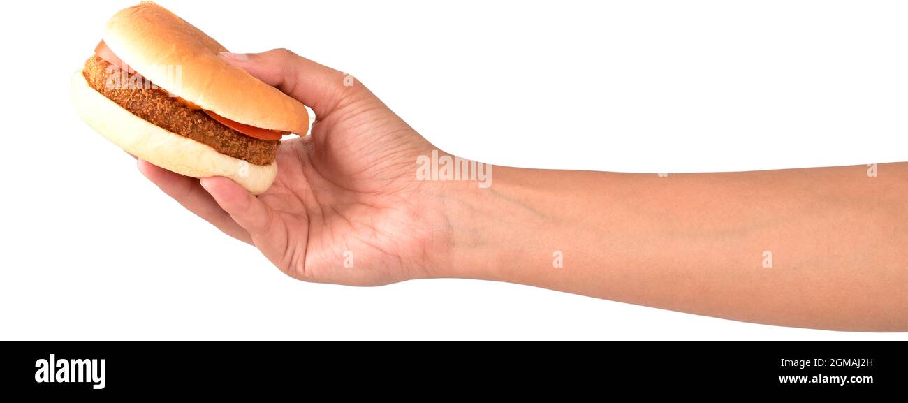 burger in hand isolated on white background Stock Photo - Alamy