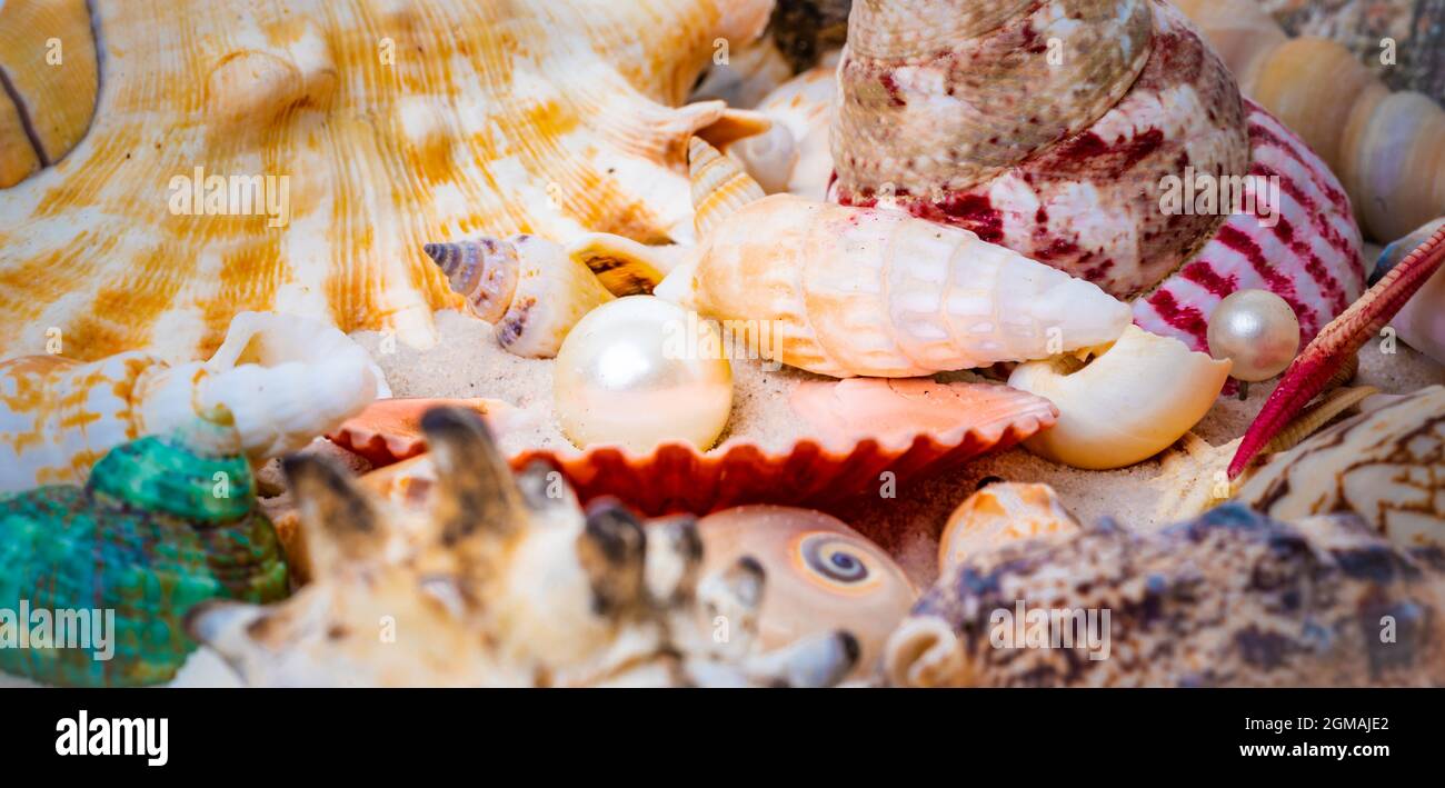 Seafood treasure hi-res stock photography and images - Alamy
