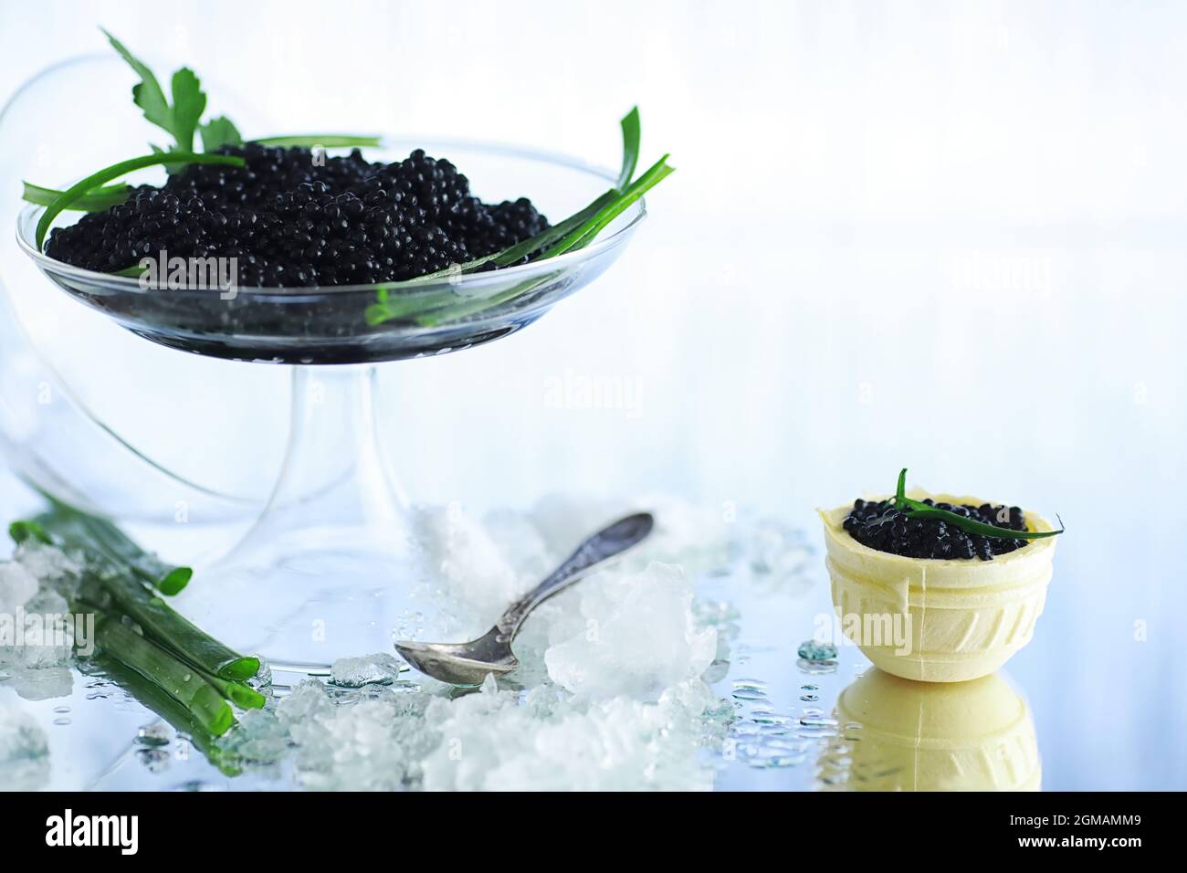 Fresh black fish roe. Beluga caviar served with ice with green Stock ...