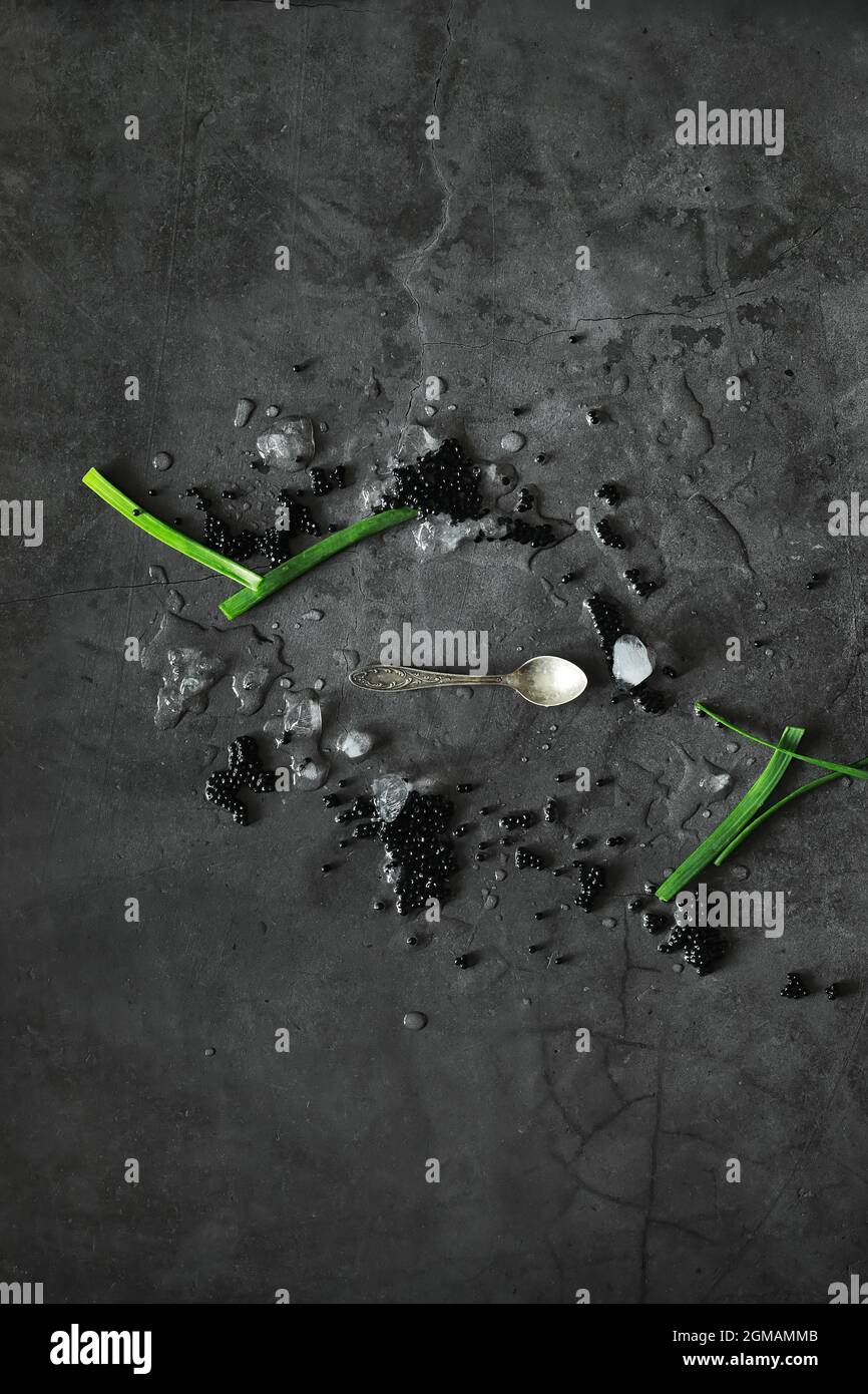 Fresh black fish roe. Beluga caviar served with ice with green Stock ...