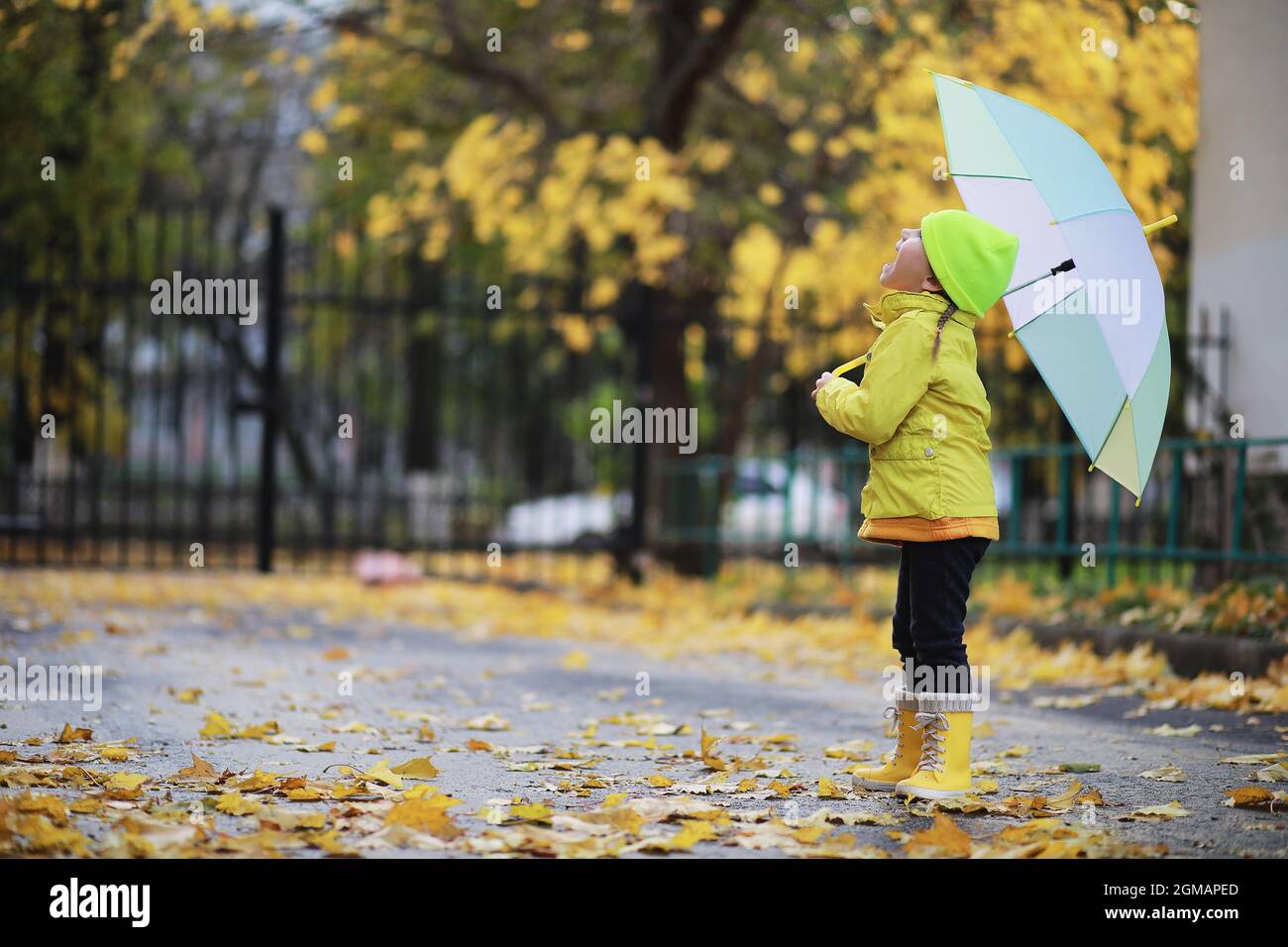 Children walk in the autumn park in the fall Stock Photo - Alamy