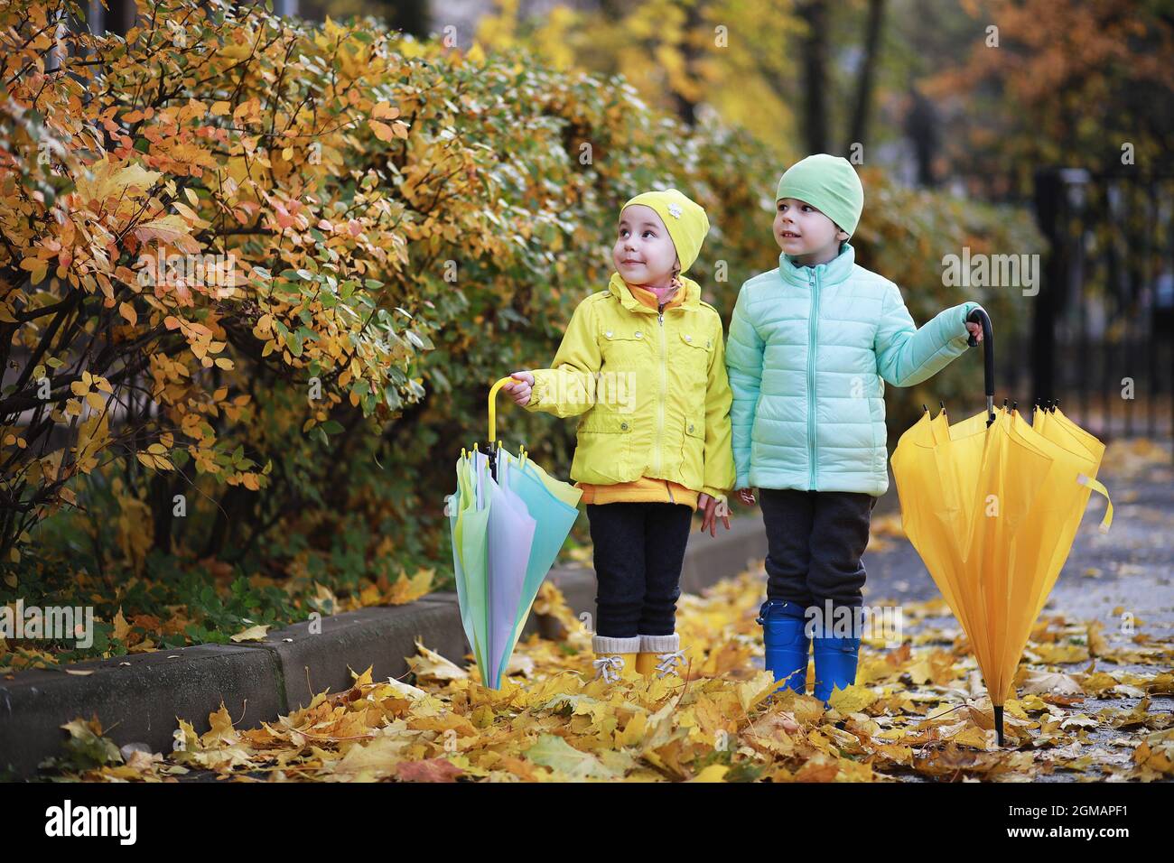 Children walk in the autumn park in the fall Stock Photo - Alamy