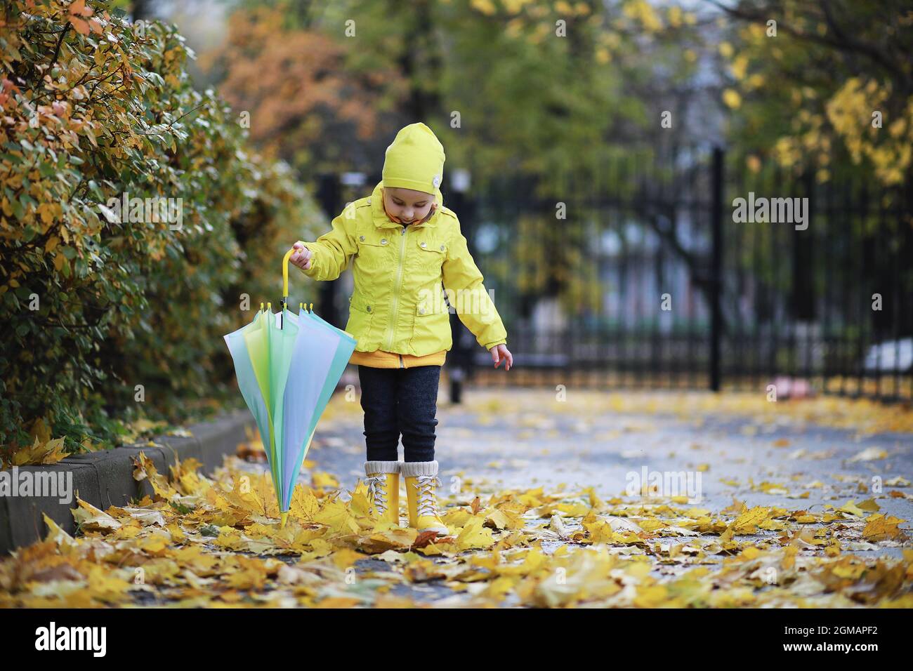 Children walk in the autumn park in the fall Stock Photo - Alamy
