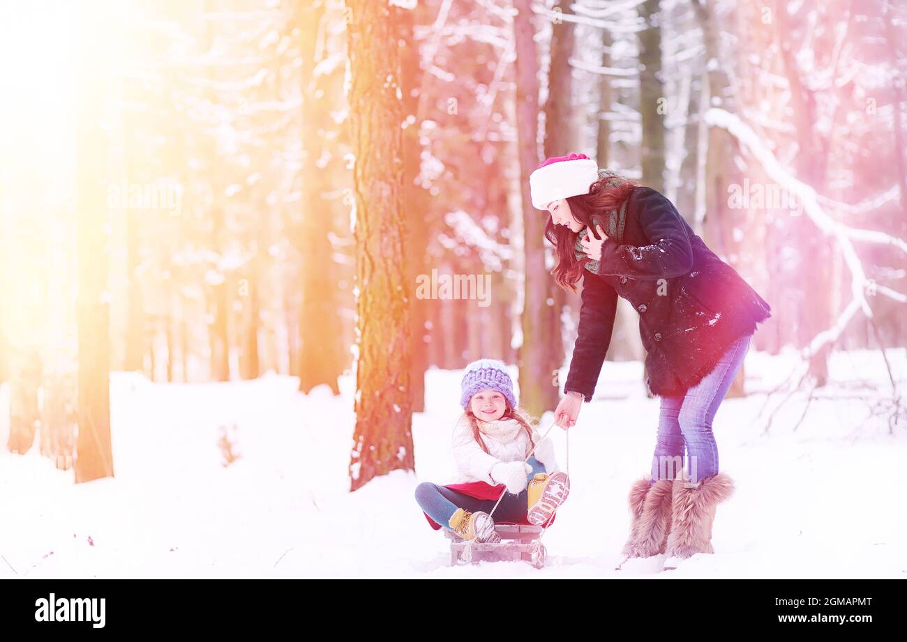 Winter fairy tale, a young mother and her daughter ride a sled in the ...