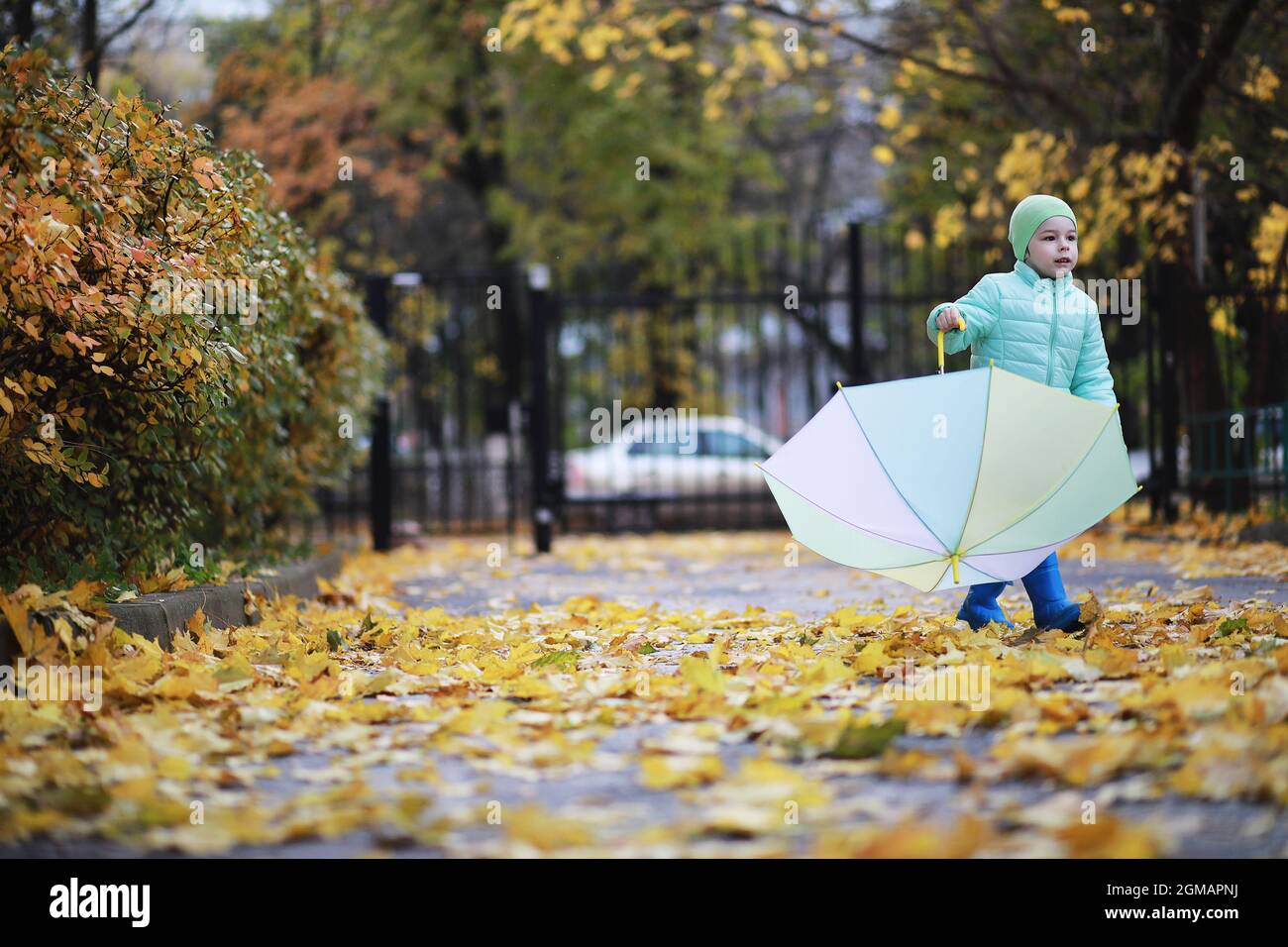 Children walk in the autumn park in the fall Stock Photo - Alamy