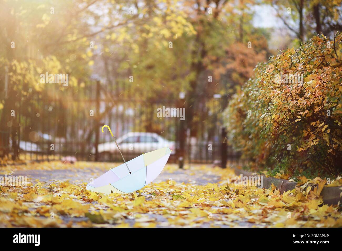 Children walk in the autumn park in the fall Stock Photo - Alamy