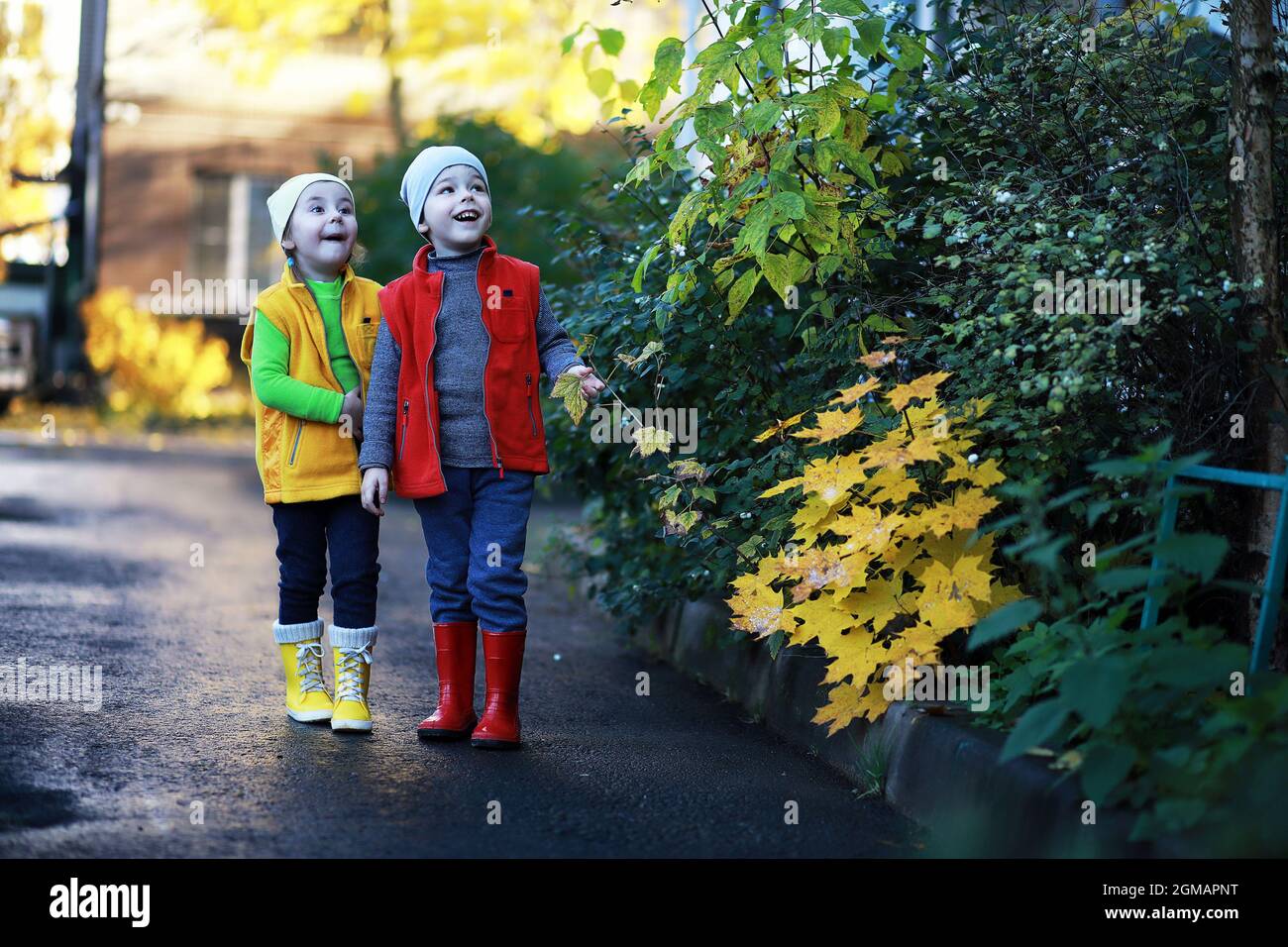 Children walk in the autumn park in the fall Stock Photo - Alamy