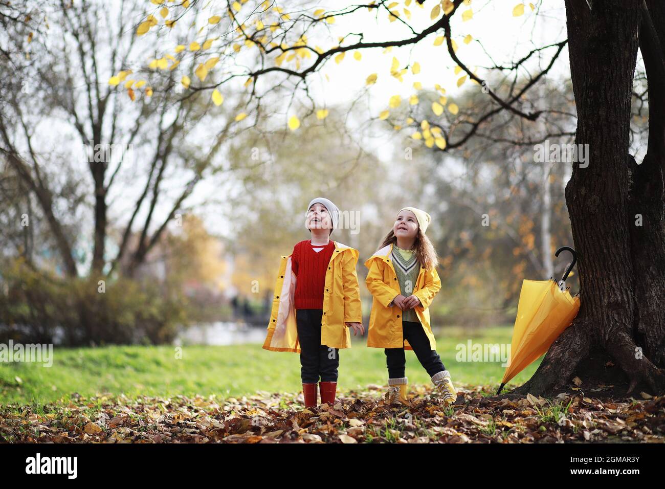 Children walk in the autumn park in the fall Stock Photo - Alamy