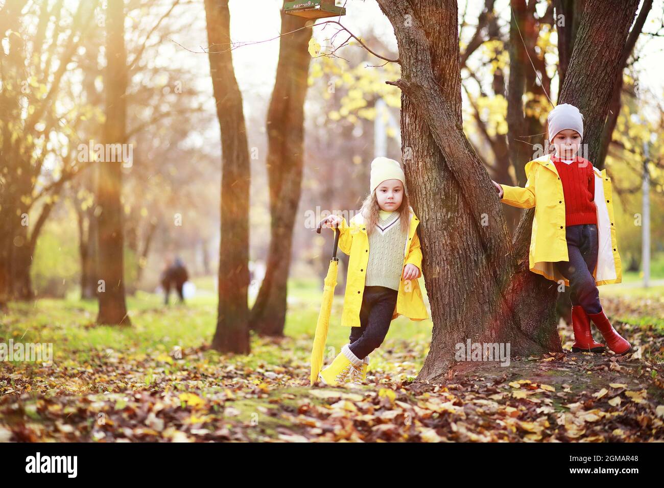 Children walk in the autumn park in the fall Stock Photo - Alamy