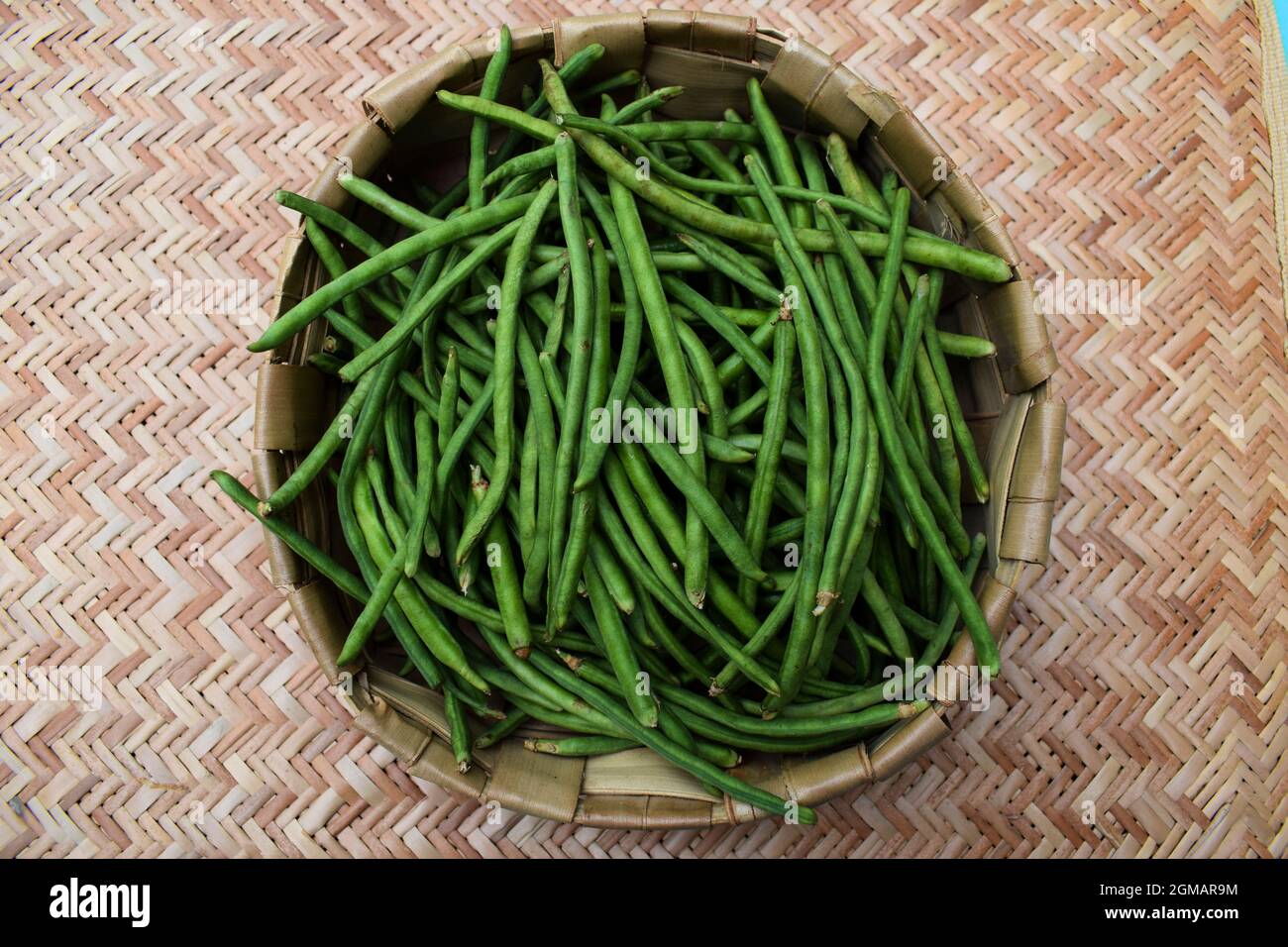 Barbatti hi-res stock photography and images - Alamy