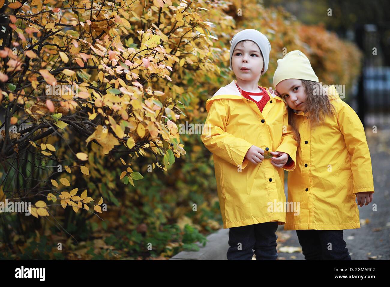 Children walk in the autumn park in the fall Stock Photo - Alamy