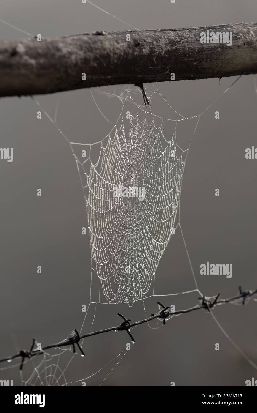 Spider Village High Resolution Stock Photography and Images - Alamy