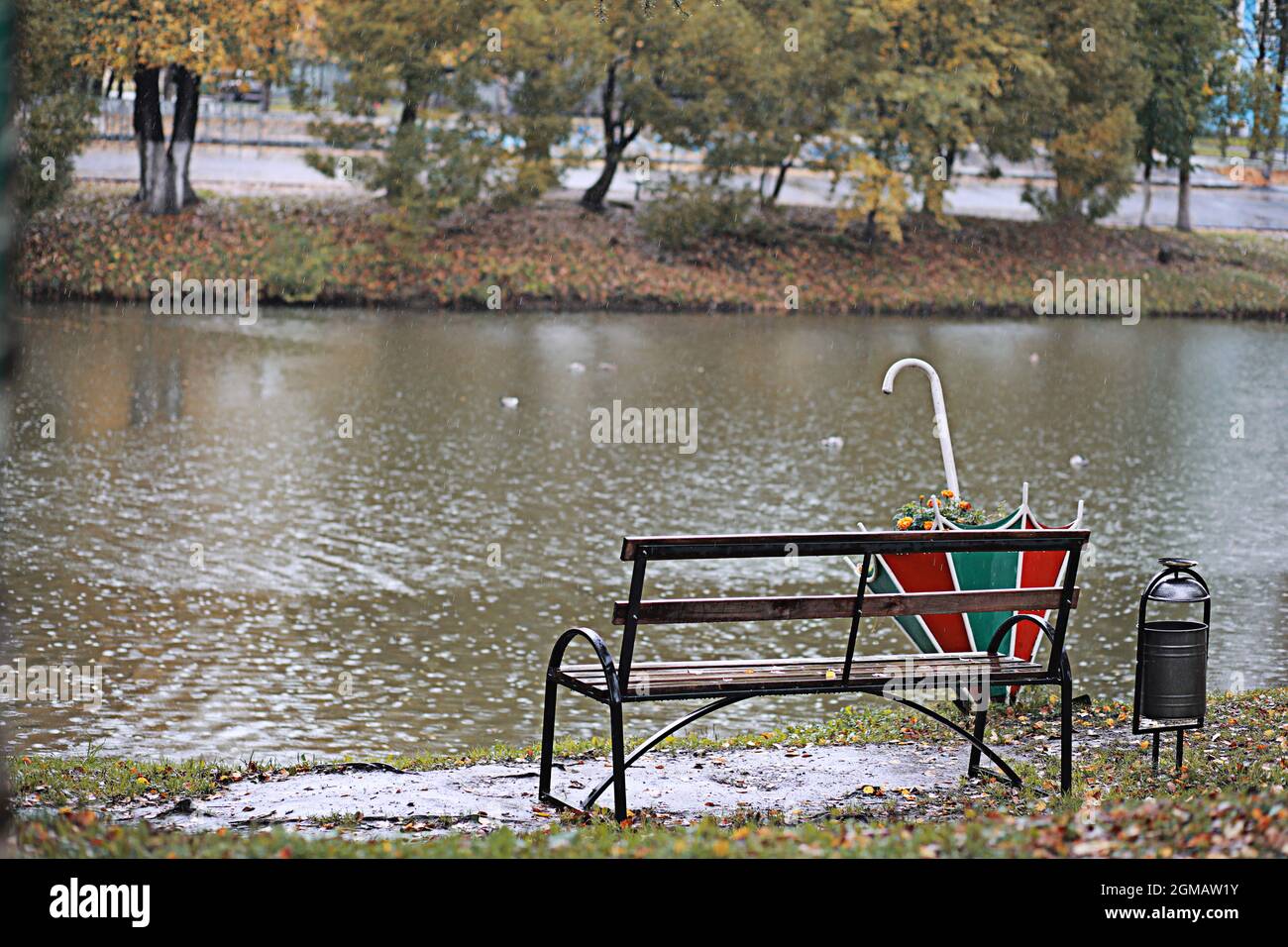 Autumn rain in the park during the day Stock Photo - Alamy