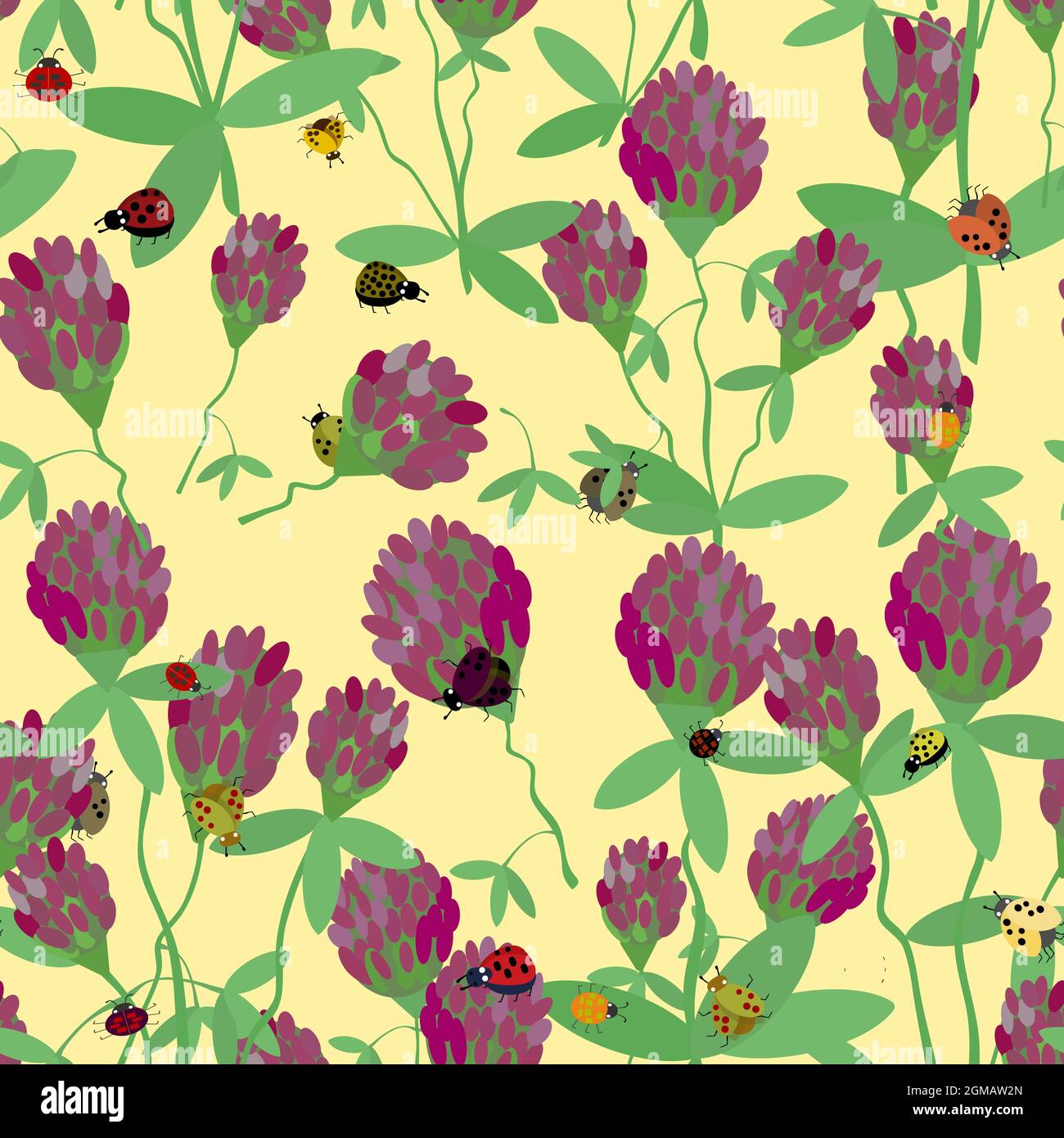 Insect red clover hi-res stock photography and images - Alamy