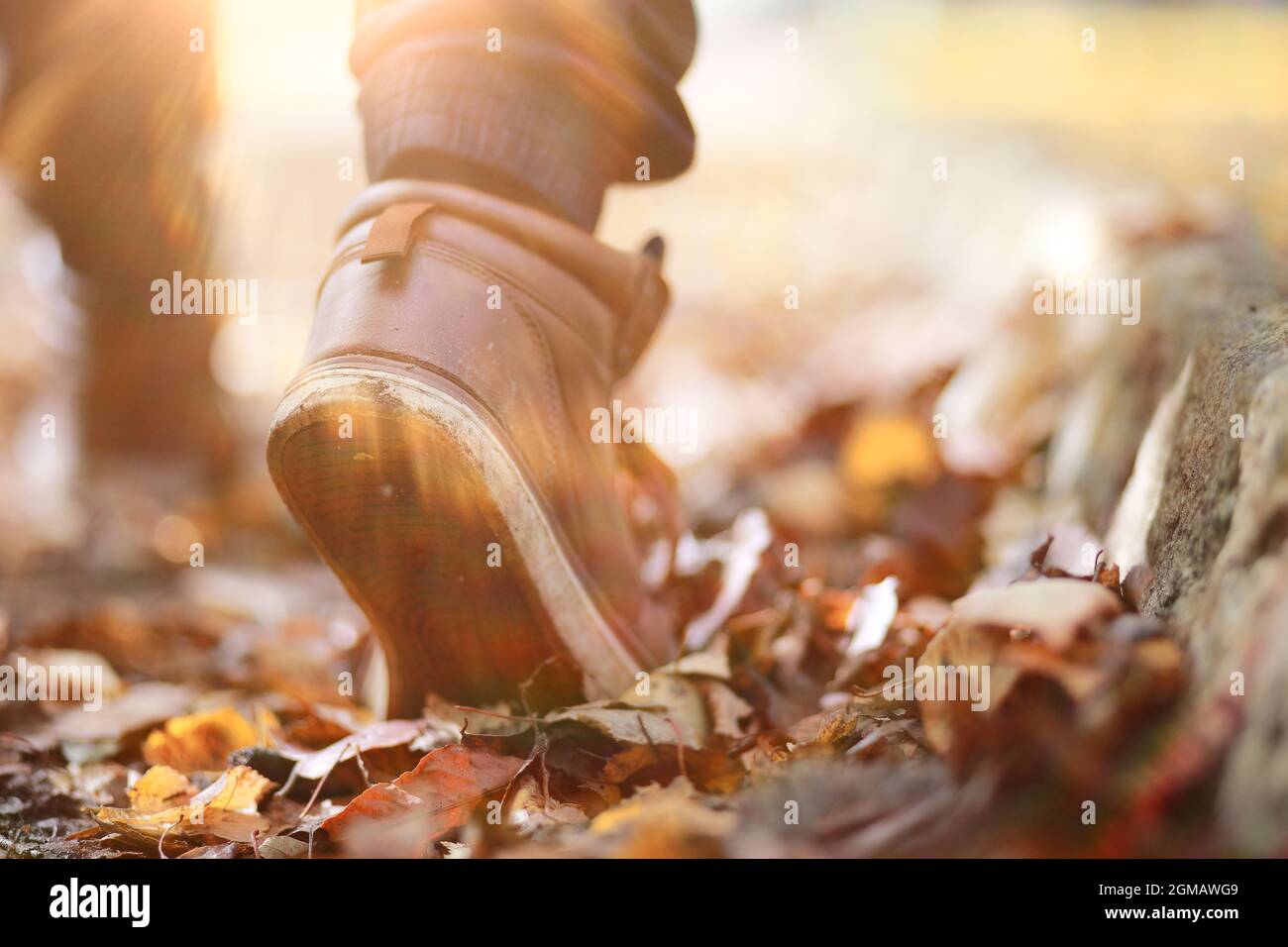 Autumn Park man walking along a path foliage Stock Photo - Alamy