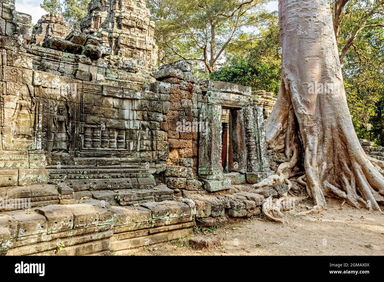 Ta prohm temple ruin in the forest siem reap hi-res stock photography ...