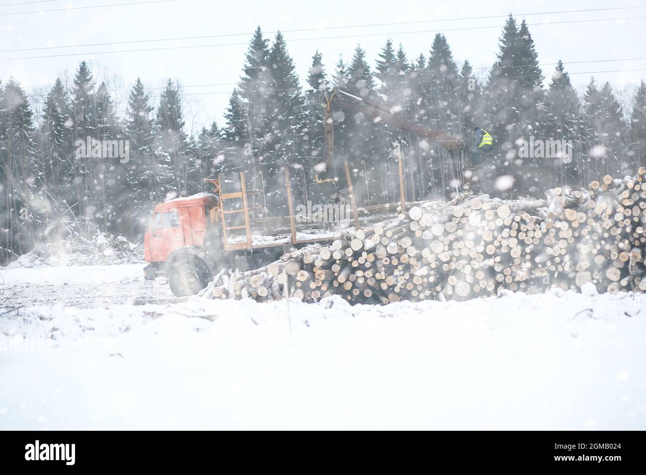 A lorry transports logs in the back. Timber truck Stock Photo - Alamy